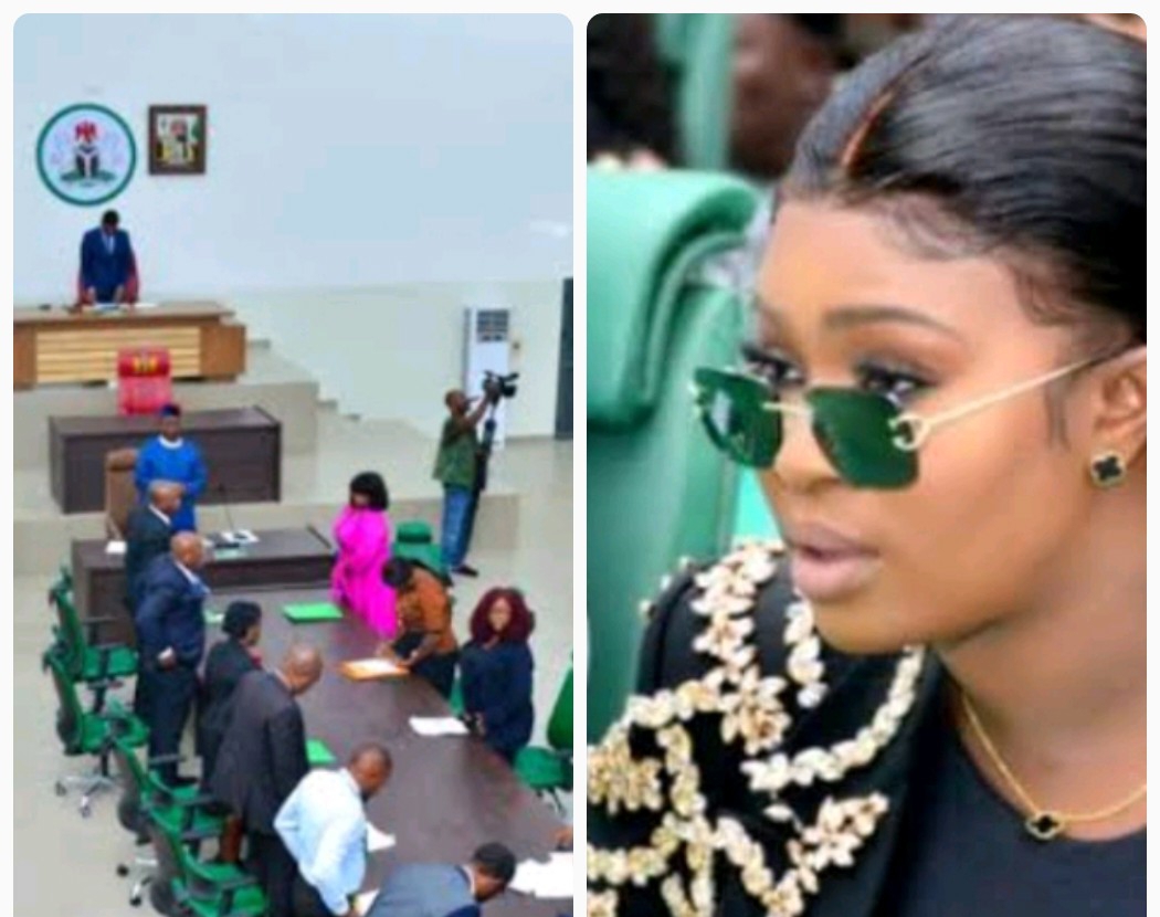 Drama In Edo Plenary As Speaker Sends Out Hon. Natasha Over Use Of Dark Shade - The Pendulum Media